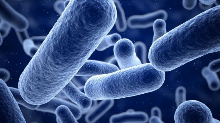 Woman contracts rare bacterial infection on 12-hour flight - Mitalab